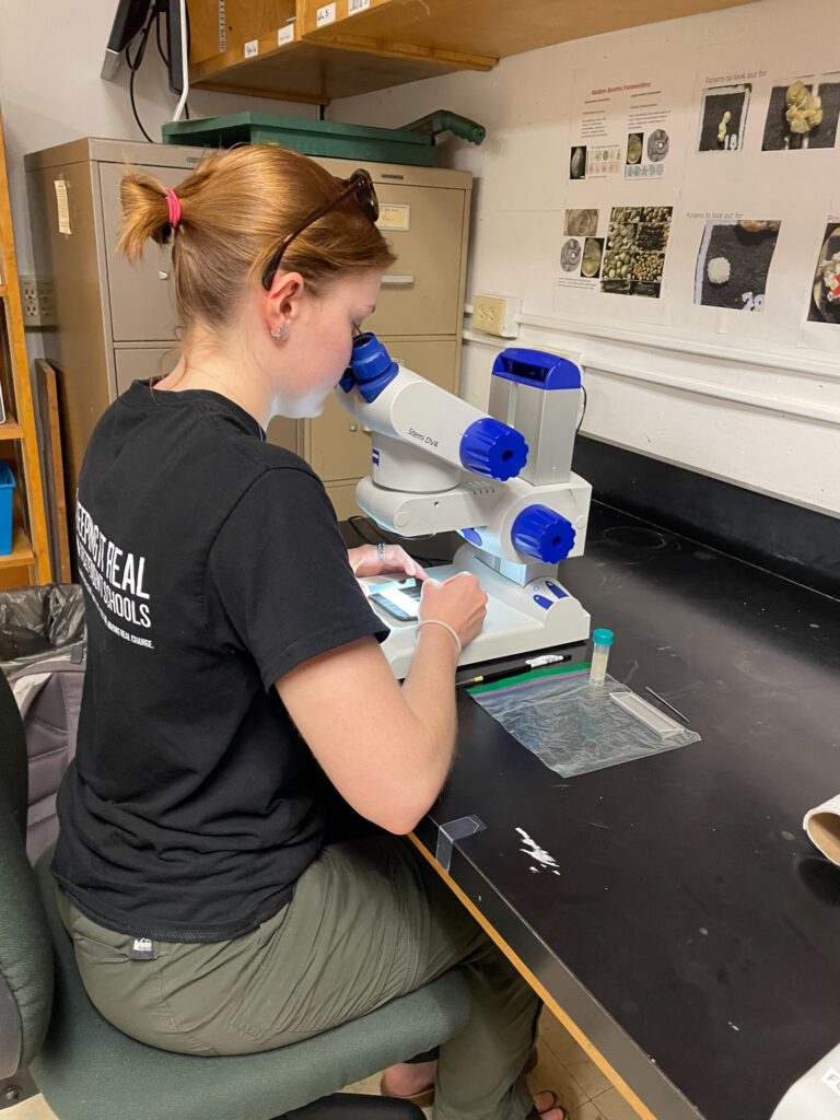 A Hidden World on the Seafloor: Picking Benthic Foraminifera - Living Oceans FoundationLiving ...