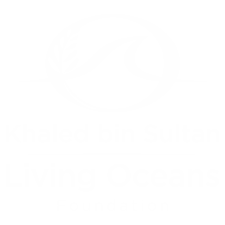 Takuaka: Tongan Myth of the Shark God - Living Oceans Foundation