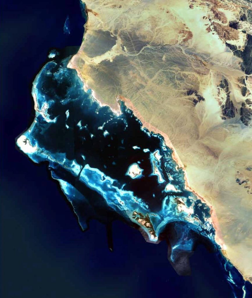 Mapping the World’s Coral Reefs - Living Oceans Foundation