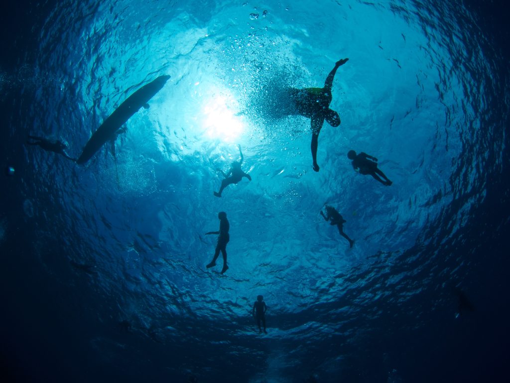 World Oceans Day: Protecting the Ecosystems That Protect Us - Living ...