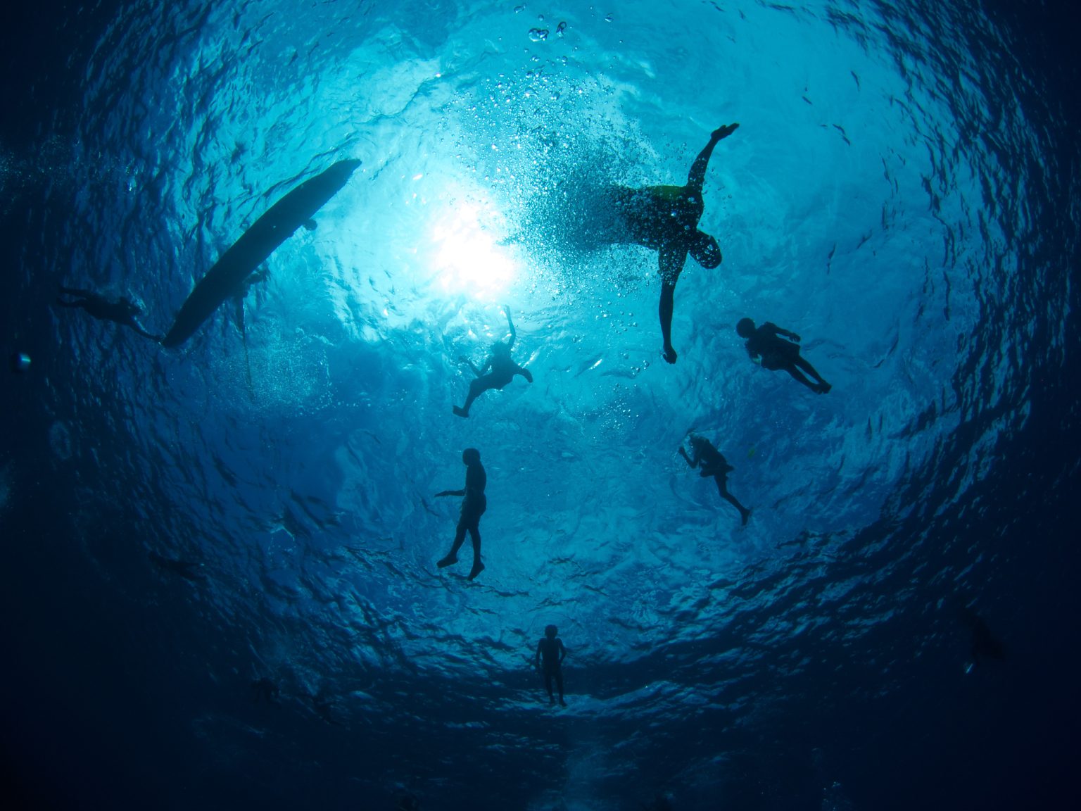 World Oceans Day: Protecting the Ecosystems That Protect Us - Living ...
