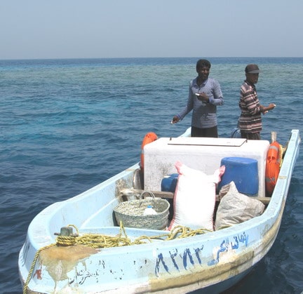 Fishing at the Farasan Banks, Red Sea (KSLOF)