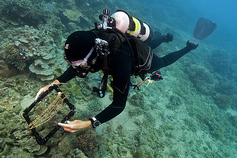 Rugged Reefs: Reef Rugosity of the Great Barrier Reef