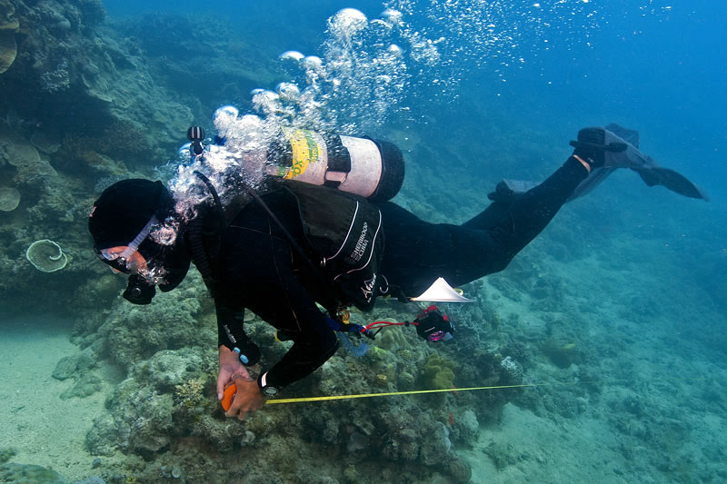Rugged Reefs: Reef Rugosity of the Great Barrier Reef