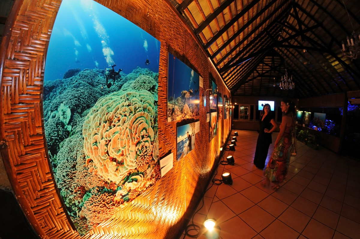Marine Conservation Photography | Living Oceans Foundation