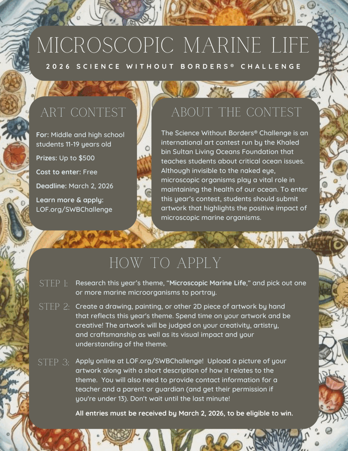Science without Borders® Challenge – International Student Art Contest