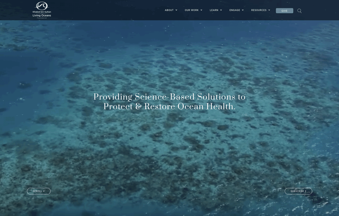 Takuaka: Tongan Myth of the Shark God - Living Oceans Foundation