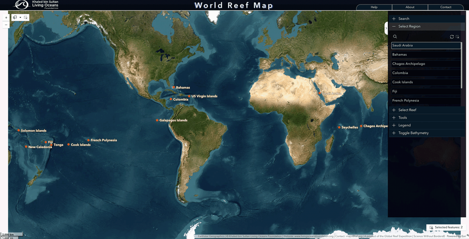 A New Way to Explore the World Reef Map | Living Oceans Foundation